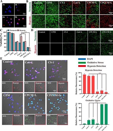 o2 enhancing pdt chemotherapy of cpccm with laser irradiation