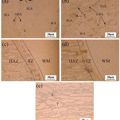 Microstructure Of The Weld Zone A And B With Argon And Nitrogen