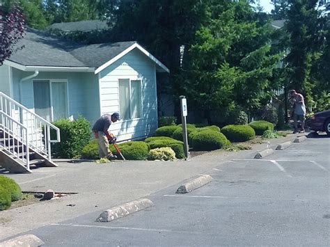 Trusted Residential Tree Care In Bellingham WA 98226