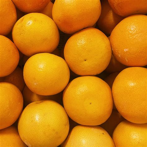 Pompelmo Rosa Orto1897