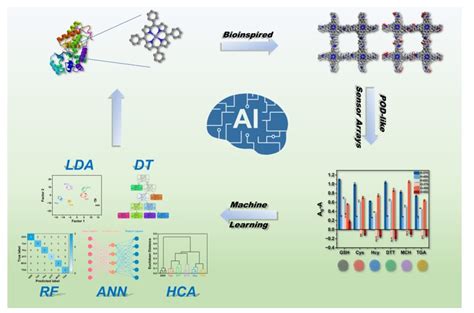 Acs Ami：基于生物启发的铁卟啉共价有机框架纳米酶传感器阵列—机器学习辅助识别与检测硫醇 X Mol资讯