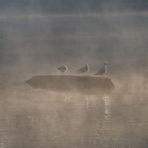 Stream Bert Van Wijk Music Listen To Songs Albums Playlists For Free On Soundcloud