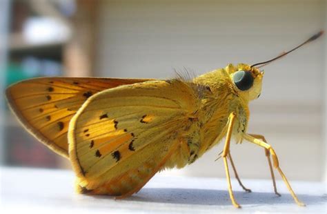 Top Design Magazine Web Design And Digital Content When Ugly Becomes