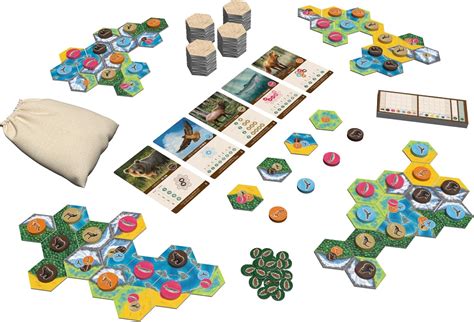 Cascadia Board Game Award Winning Tile Laying Strategy Game