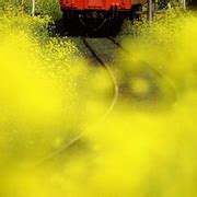 解决ImportError DLL load failed错误的有效技巧 极简博客