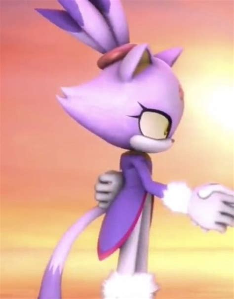 Blaze The Cat Plush Blaze The Cat Real Life