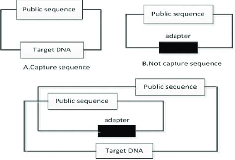 Dna Sequence Capture 101371journalpone0236709g002