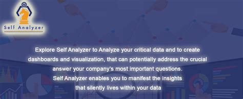 Self Analyzer Analyze Your Data