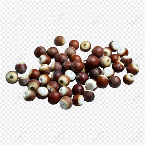 고르곤 일주 종려빛 성분 Png 일러스트 무료 다운로드 Lovepik