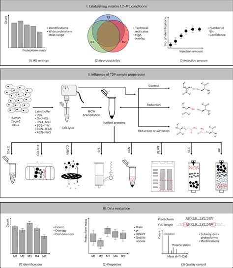 Influence Of Different Sample Preparation Approaches On Proteoform