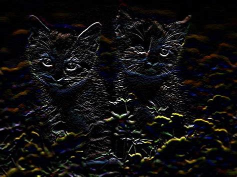 Implementing Image Processing Kernels From Scratch Using Convolution In Python By Sabri Barac