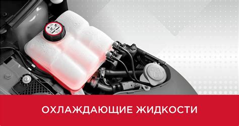 Продукция SINTEC Lubricants – каталог на официальном сайте производителя