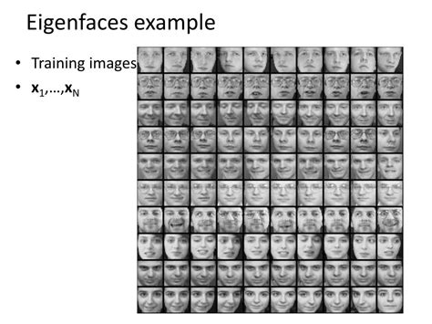 Ppt Face Recognition And Feature Subspaces Powerpoint Presentation