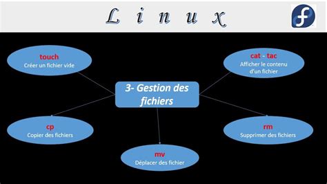 Linux Cours3 Gestion Des Fichiers Par Les Commandes Touch Cp Mv
