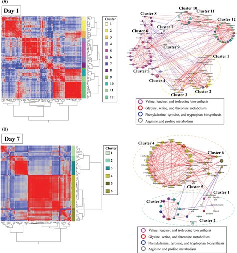A Biclustering Of Metabolites And Network Visualization On Day 1 In