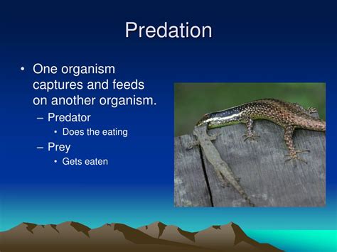 Ppt Ecology Ecosystems And Communities Powerpoint Presentation Free Download Id 784390