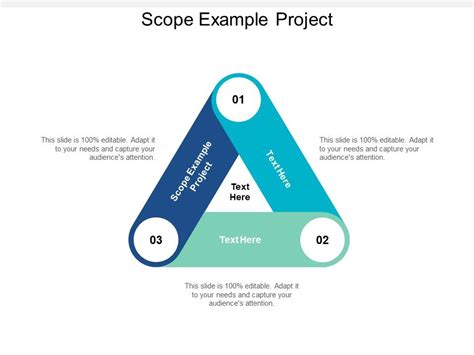 Scope Example Project Ppt Powerpoint Presentation Outline Introduction Cpb