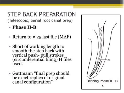 Cleaning And Shaping Of Root Canal Systems Pptx