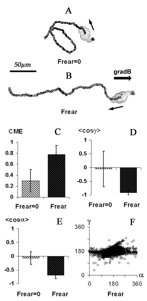 Extratracellular Magnetic Labeling Locomotion Analysis Examples Of Download Scientific Diagram