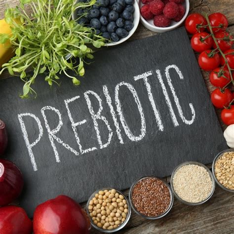 What Are Prebiotics Everything You Need To Know
