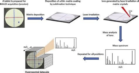 Spatial Metabolomics Sloution Creative Bioarray Creative Bioarray