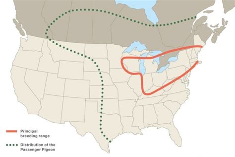 The Original Range Of The Bison R MapPorn