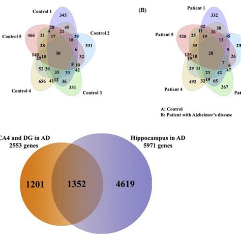 Features Of Proteomic Signalling Interactions A Signalling Network