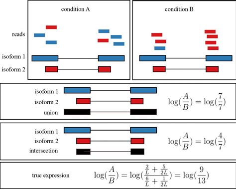 Chapter 6 Transcriptomics Applied Bioinformatics