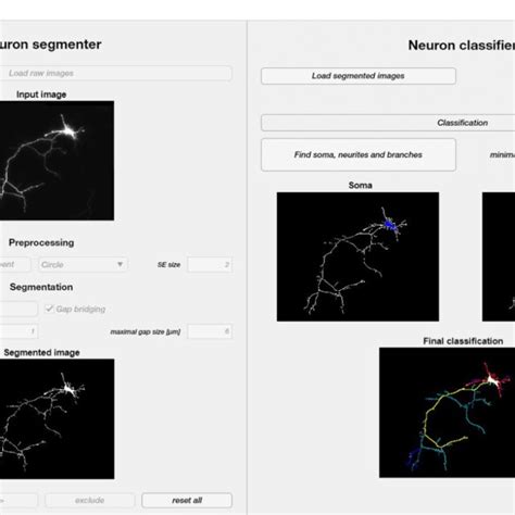 Graphical User Interface And Processing Steps Screenshot Of The