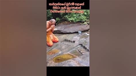 බුදුරජාණන් වහන්සේගේ සිරිපා සලකුණු තායිලන්ත භික්ෂූන් වහන්සේලා විසින් වන්දනා කරන අයුරු Youtube