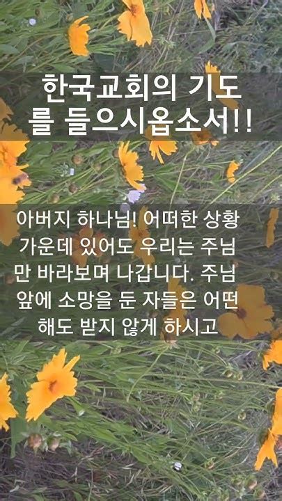 대한민국을 가슴에 품고 하나님께 올려드립니다 Youtube