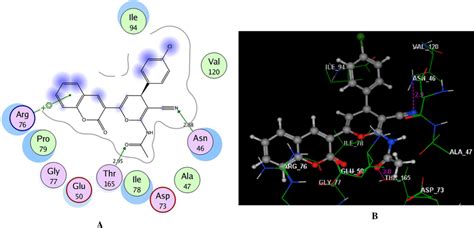 2d And 3d Binding Patterns Of 11 A B With The Active Site Of Dna