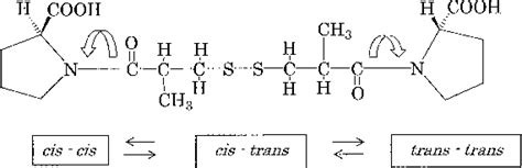 Figure 1 From Hplc Profile Of Captopril Disulfide That Undergoes