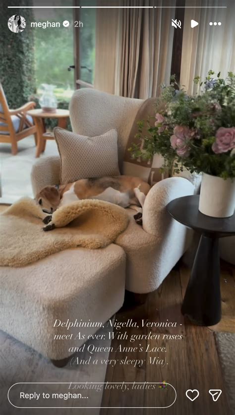 Meghan Markle Gives Peek Inside Her Cozy 14m Montecito Mansion With Hermès Decor And Floral Flair
