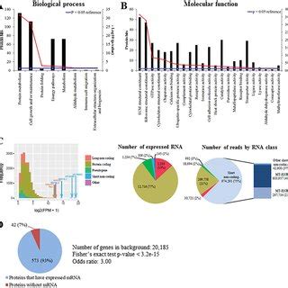 Proteomic And RNA Sequencing Analysis Of Extracellular Vesicles Derived Download Scientific