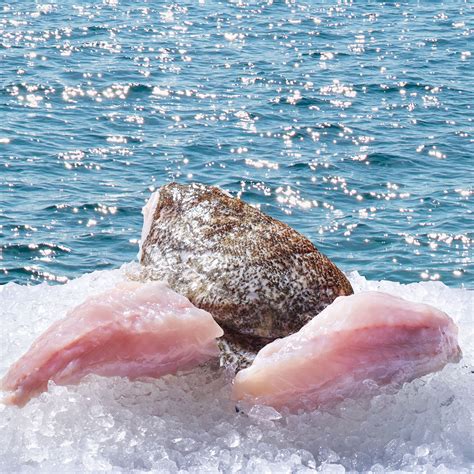 Blucurrent Grouper Fillet Straits Market