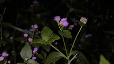 10시간 잔잔한 수면음악 💖 스트레스 해소음악 잠잘때 듣는 음악 불면증치료음악 ♬ 잠 잘오는 수면유도음악 연속듣기 Youtube