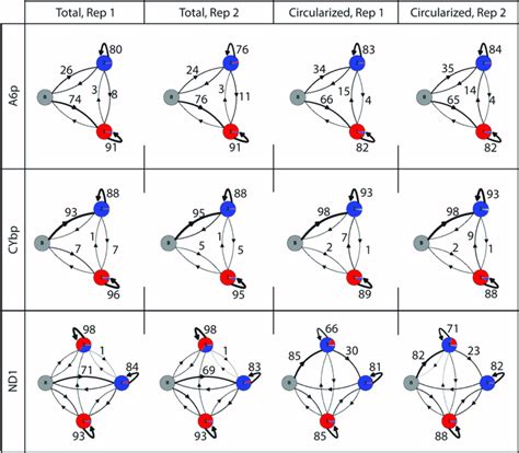 Hidden Markov Modelling Reveals Differences In Tail Addition Enzyme