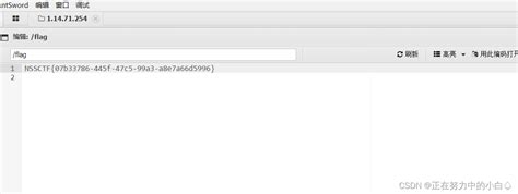 刷题学习记录文件上传)蚁剑连接htaccess文件 Csdn博客 刷题学习记录文件上传)蚁剑连接htaccess文件 Csdn博客