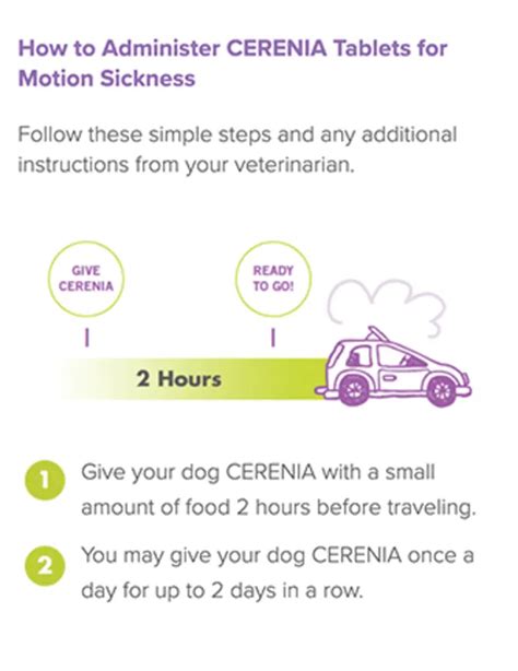 Cerenia For Pet Owners Zoetis Petcare