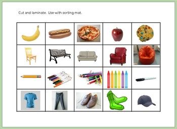 Function Of Objects Sorting By That S Life Skills TPT
