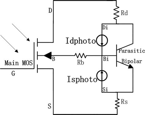 Schematic Representation Of Pdsoi Transient Ionizing Radiation Model Download Scientific Diagram