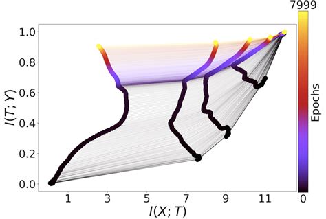 Information Planes Of Networks Using Different Non Saturating Download Scientific Diagram