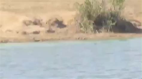 Jeevan Reddy Maram On Linkedin Very Inspiring