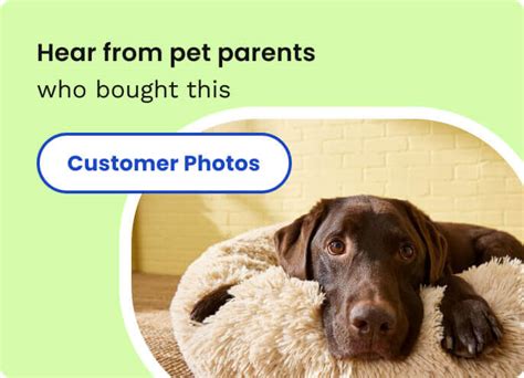 Gabapentin Compounded Tablet 50 Mg Easy Refills Chewy Rx