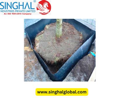 The Ultimate Guide To Plastic Root Barriers Protecting Trees And