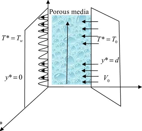 Physical Model And Co Ordinate System The Navier Stokes Equations Are Download Scientific Diagram
