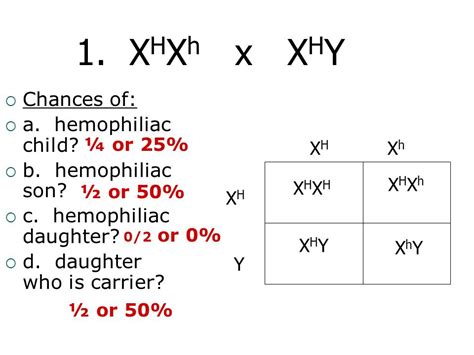 hemophilia inheritance punnett square
