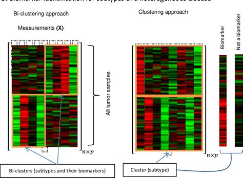 Figure 1 From Computational Methods For Biomarker Identification In