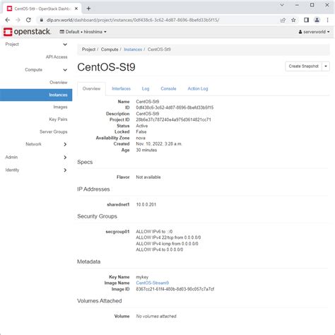 centos stream 9 openstack zed configure horizon server world